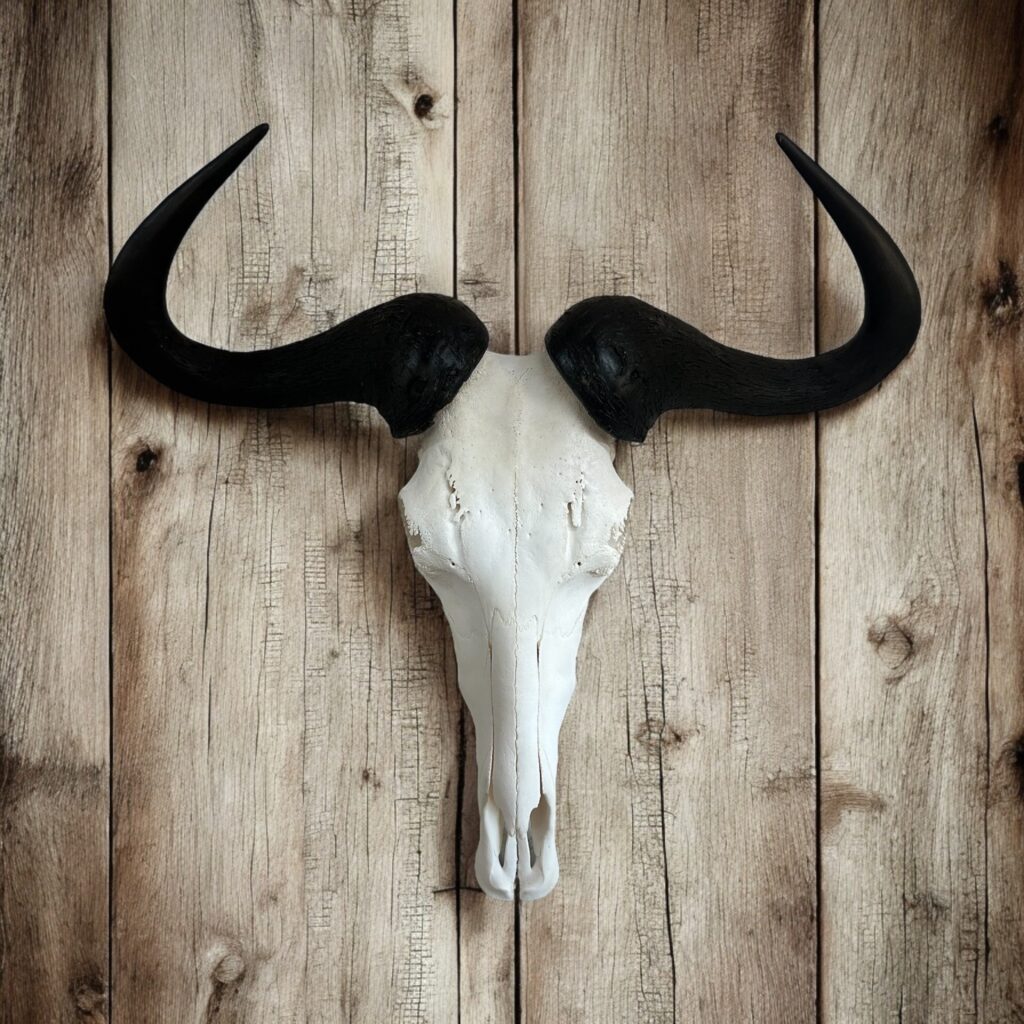 Zebra Hides, Bleached Skulls & African Decor | Raven Hides